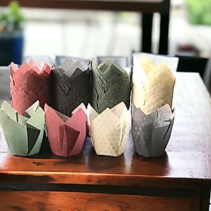 The Baker Celebrations 100 Gold Star Tulip Paper Cups 2 x 3 1/4 inch Muffin Liners; Cupcake Holders - Made in Canada - Green White Red and Blue (25 of each)