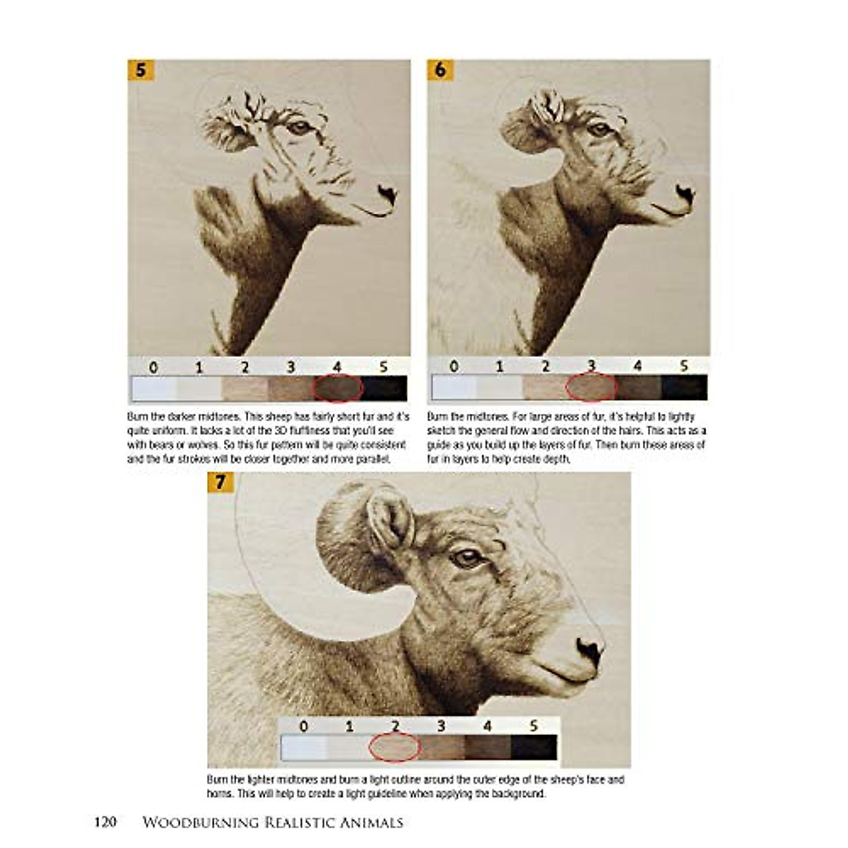 Woodburning Realistic Animals: 12 Step-by-Step Pyrography Projects of Birds, Pets, and Wildlife (Fox Chapel Publishing) Tutorials for Eyes, Fur, Manes, & Whiskers; Projects for Big Cats, Owls, & More