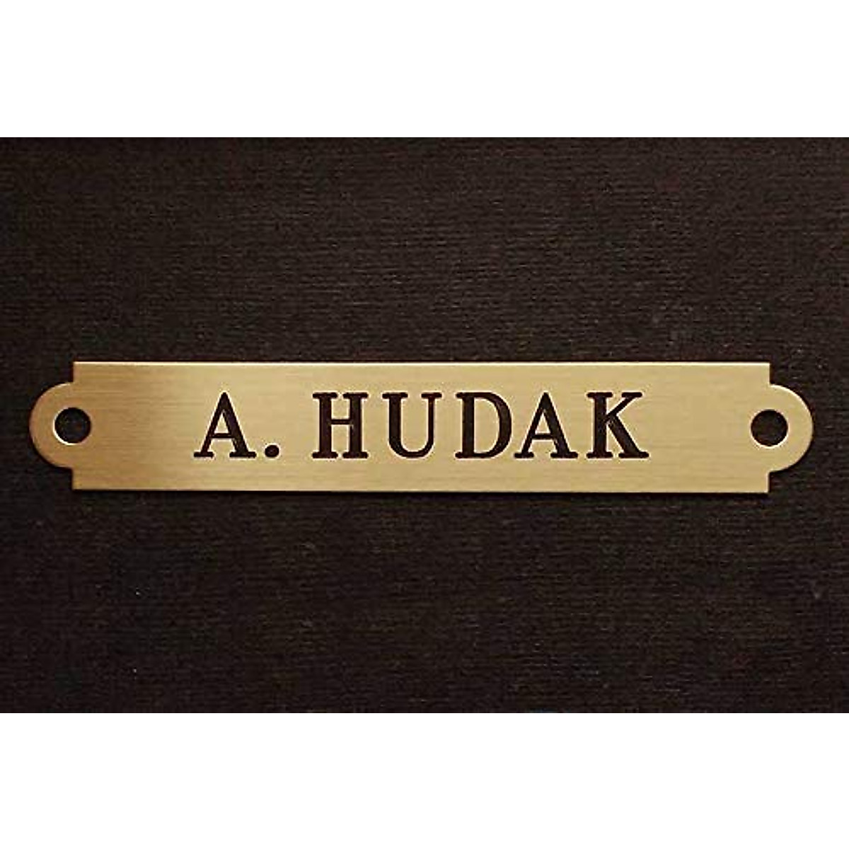 HALTER PLATE XLARGE THICK Notched Brass or Nickel Silver I.D. Plate .050" Thick Custom Engraved