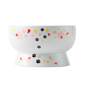Necoichi Raised Cat Water Bowl, Elevated, with Measurement Lines, Dishwasher and Microwave Safe, No.1 Seller in Japan! (Cherry Blossom Limited Edition, Regular)