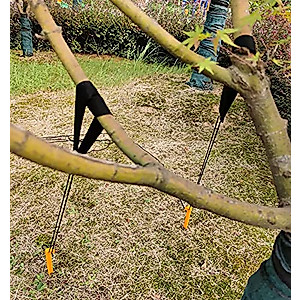 WANZHU Tree Stake Kits - 6pcs 11.4'' yellow Anchoring Stakes + 6 Straps 65 Feet Rope Enough for 2 Finish Trees Sapling Straight Healthy Growth Outdoor Garden Yard Plant Fix