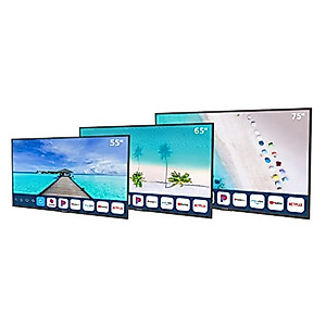 Peerless-AV 55" Neptune Partial Sun 4K HDR Outdoor Smart TV w/Free Outdoor Tilting Wall Mount (WPTV553)