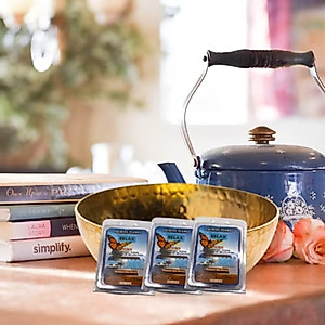 WAX MELTS | Fresh Baby Powder Scent | HIGHLY SCENTED WAX MELTS | Lasting Home Fragrance | Handcrafted in USA | (1-Pack)