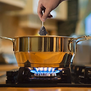 YOUIN 2 Packs of Iron Fish with Bag-A Natural Source of Iron to Reduce The Risk of Iron Deficiency,an Effective and Safe Cooking Tool to Add Iron to Food,Ideal for Pregnant Women Vegans Athletes