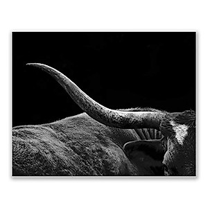 Black and White Texas Longhorn Prints - Set of 2 (11x14 Inches) Glossy Minimalist Monochromatic Barn Farm Cow Western Rustic Farmhouse Wall Art Decor