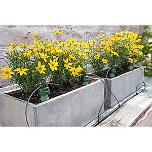 Blumat Drip System - 12 Pack Medium Deluxe Kit with Reservoir - Smart Automatic Watering System, Great for Vacation, Made in Austria