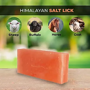 Himalayan Salt Lick Block for Horses, Deer-, Goats, Cattles & Cows | Pack of 2, Pink Salt Licks for Animals, Licking Salt Brick Packed with Minerals