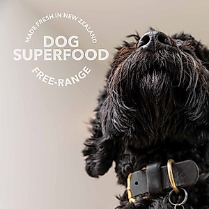 K9 Natural - Grain Free Freeze Dried Dog Food Supplement Booster - Beef Green Tripe, 8oz