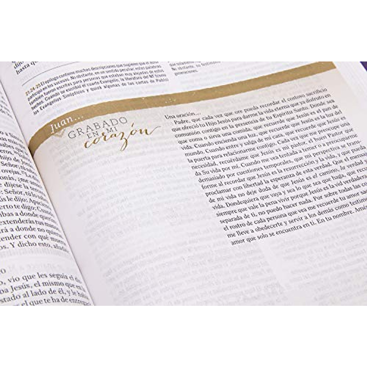 Biblia Reina Valera 1960 de Estudio para mujeres vino tinto-fucsia, símil piel | RVR 1960 Women Study Bible, Burgundy-Fuschia LeatherTouch (Spanish Edition)