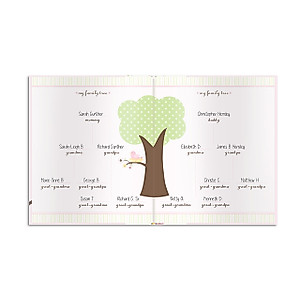 Lil Peach Birdie Baby Five Year Memory Book Photo Journal, Cherish Every Precious Moment of Your Babys First Years, Pink