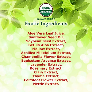 GIOVANNI Mousse Air-Turbo Charged, Hair Styling Foam - Lightweight for Natural Curls, Medium to Firm Hold, Add Texture & Shine, Curly Hair Products, No Parabens, Color Safe - 7 oz (Pack of 3)