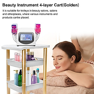 Beauty Salon Furniture Trolley Spa Styling Pedestal Rolling Cart 4 Shelf Abs Aluminum Elitzia ETTRO5