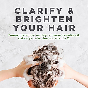 Avalon Organics Clarifying Lemon Shampoo, 11 oz. (Pack of 2)