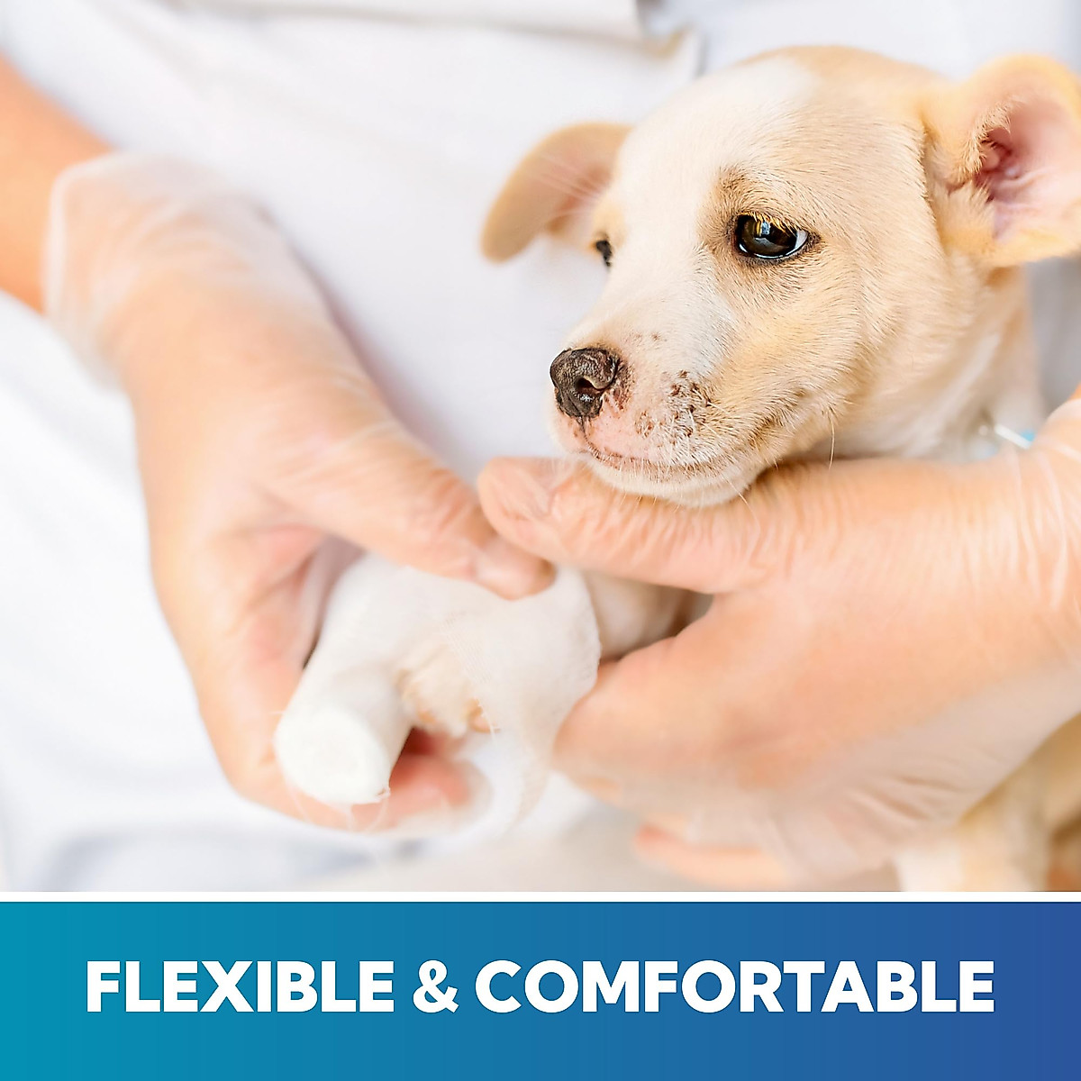 TURBA Clear Latex-Free Disposable Gloves – 100 Ct. Single-Use Powder-Free Vinyl Gloves – Non-Latex Gloves for Cleaning, Sanitary Gloves for Medical Examination, & Food-Safe Cooking Gloves, Small