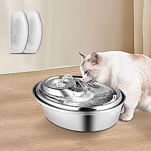 Cepheus Cat Water Fountain Filter, 12 Pack Replacement Filter with 6 Sponges Compatible with 67oz/2L Stainless Steel Pet Fountain, Cat Fountain Carbon Filter Set, 3 Filtration System
