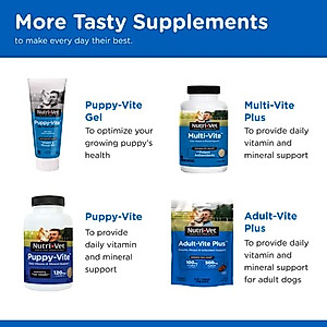 Nutri-Vet Senior-Vite Chewables for Dogs - Daily Vitamin and Mineral Support for Senior Dogs to Help Maintain Peak Condition - 120 Count