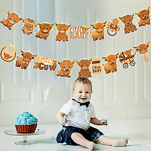 Highland Cow Baby Shower Banners 2Pcs Holy Cow Baby Shower Decorations Highland Cow Party Cutout Banners Oh Baby Party Decorations for Cow Cattle Baby Shower Birthday Party Supplies