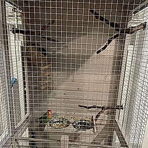 kathson Bird Perches Natural Parrot Perch Wooden Parrot Stand Platform Birds Grape Branch Stand Pole Climbing Grinding Paw Stick Cage Accessories for Cockatiels Canary Lovebirds Small Budgies Parakeet