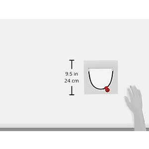 PetSafe Staywell 4 Way Locking Classic Cat Flap, Easy Install, Durable, Pet Door for Cats
