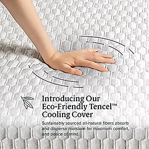 ZINUS 10 Inch Bliss Memory Foam Mattress Sustainable TENCEL Blend Cover / Pressure Relieving / CertiPUR-US Certified / Bed-in-a-Box / All-New / Made in USA, King