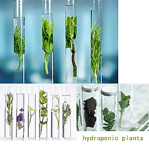 24 Pcs 50ml Flat-Bottomed Transparent Test Tube with Aluminum Screw Caps,Non-breakable Clear Plastic Organizer with Leak-proof Lids,Plastic Storage Tubes for Candy,Bath Salt,Granules and Liquids