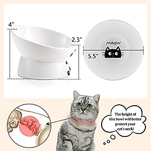 Yedio Porcelain Raised Cat Bowl, Tilted Cat Food Bowl with Anti Slip Band, Stress Free, Elevated Porcelain Pet Bowl Protect Pet's Spine, Backflow Prevention, Dishwasher Safe, White