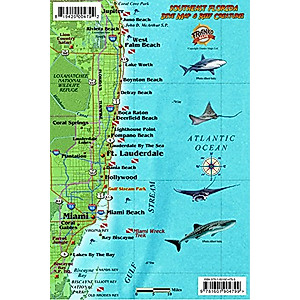 Southeast Florida Dive Map & Coral Reef Creatures Guide Franko Maps Laminated Fish Card