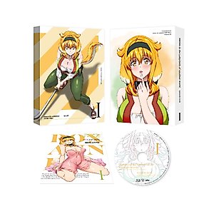 Harlem in the Labyrinth of Another World DVD Box First Volume "Normal Edition"