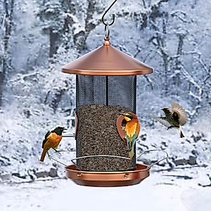 Qeeman Large Bird Feeder Outdoor 12.6 inches Mesh Screen with Copper-Look,Wild Bird Feeder Comes with Hook to Hang on Trees