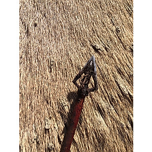 Wasp SharpShooter 100 Grain Cut On Contact Broadhead