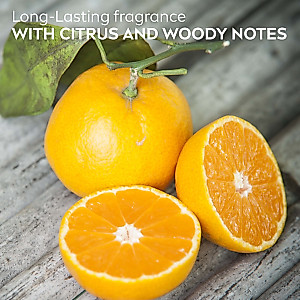 NIVEA MEN Maximum Hydration Body Wash, Aloe Vera Body Wash for Dry Skin, 16.9 Fl Oz (Pack of 3)