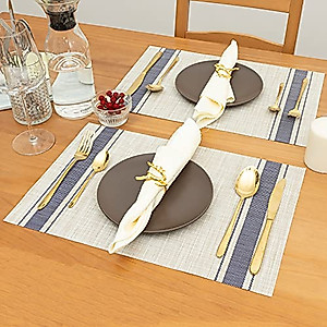 Winknowl Placemats, Set of 8 Heat Resistant Stain Resistant Non-Slip Woven Vinyl Insulation Placemats, Washable Durable Elegant Table Mats for Dining (Beige Blue)