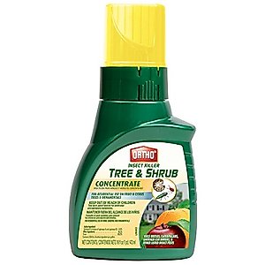 Ortho Insect Killer Tree & Shrub Concentrate, 16 oz.
