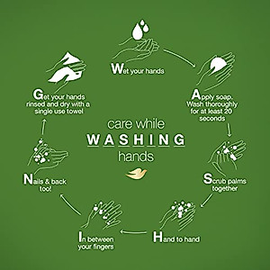 Dove Refreshing Care Cucumber and Green Tea Hand Wash For Clean and Softer Hands Cleanser That Washes Away Dirt 13.5 oz 4 Count