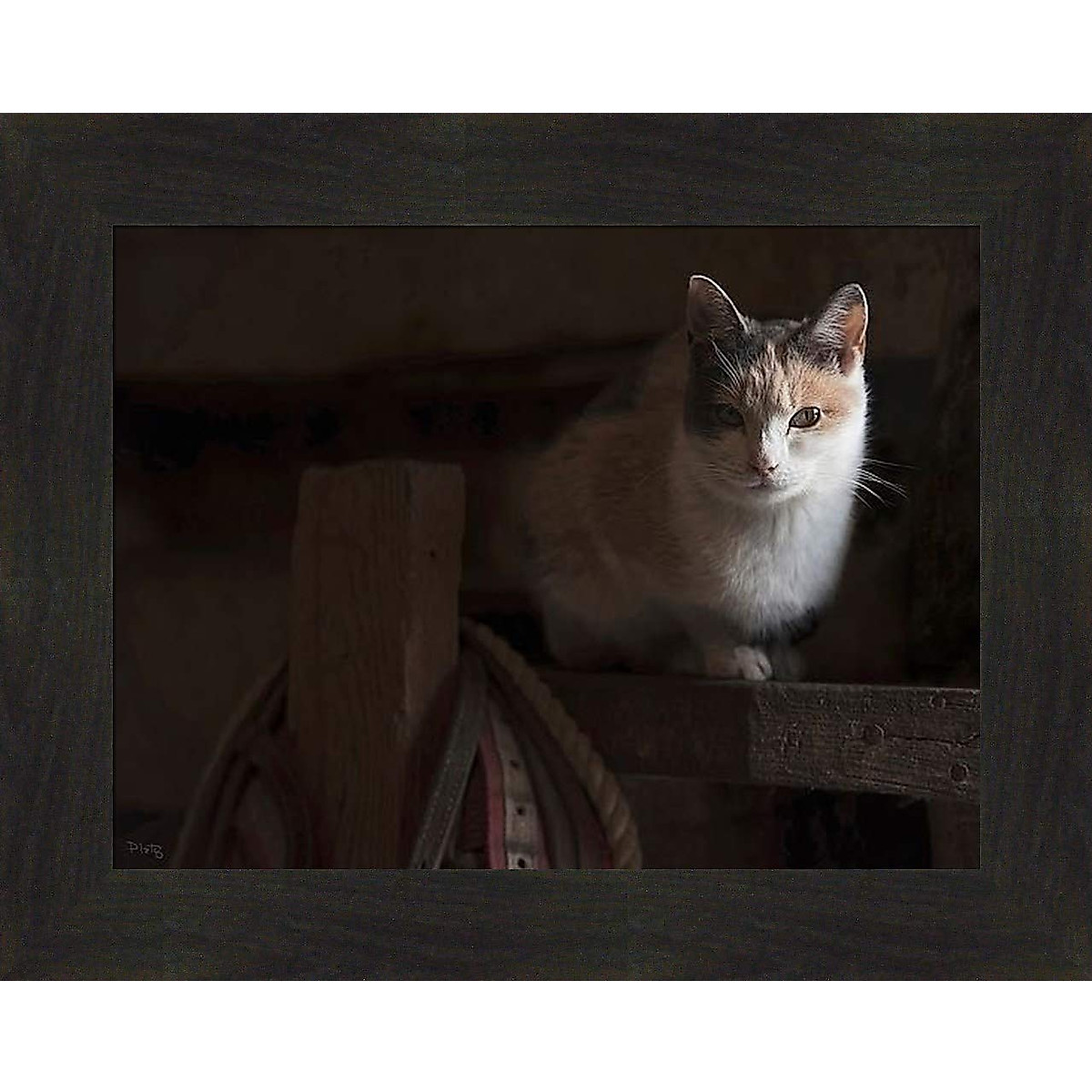 Rat Patrol by Matthew Platz 16x20 Calico Cat Kitty Hunting Barn Animal Framed Art Print Wall Décor Picture