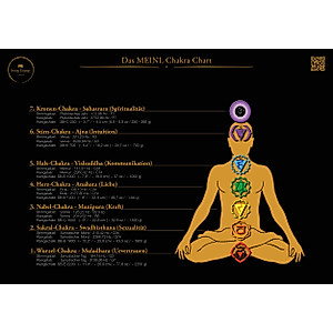 Planetary Therapy Tuning Fork 7 Piece Chakra Set with Exact Pitch and Frequency — MADE IN GERMANY — For Meditation, Sound Healing and Yoga, 2-YEAR WARRANTY