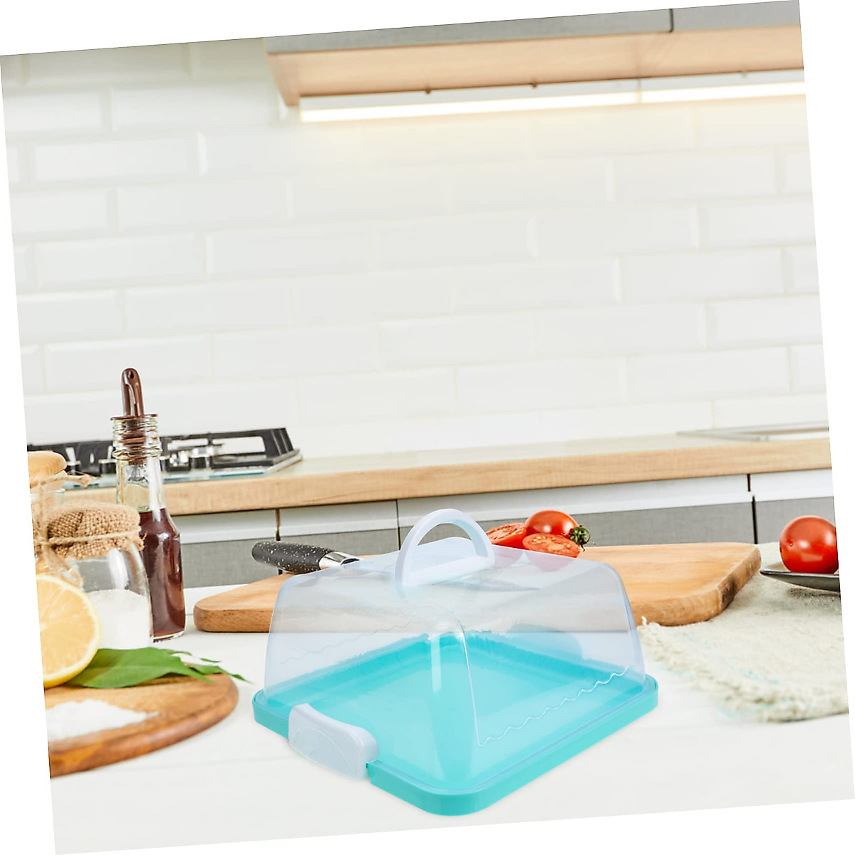 VICASKY Round Cake Carrier Two Sided Cake Holder Cake Carrier, Cake Stand with Lid and Handle, Cake Holder Storage