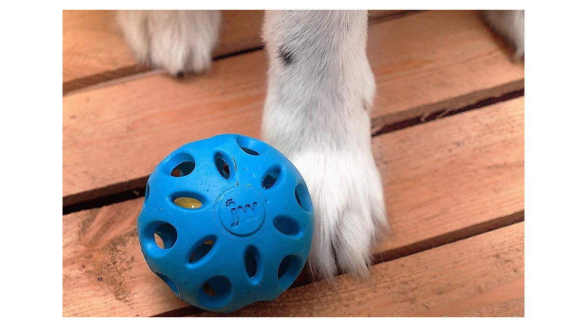 JW Pet Crackle Heads Large Dog Toy | Durable, Crunchy & Engaging