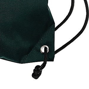 FOCO Forever Collectibles NFL Green Bay Packers Team Stripe Drawstring Backpack BagTeam Stripe Drawstring Backpack Bag, Black, 19" x 14"