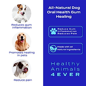 Healthy Animals 4 Ever Oral Health Gum Healing for Dogs - Relieves Inflammation, Soothes Pain, Fights Gum Disease - Natural, Non-GMO, Organic - Gluten, Preservative & Chemical Free Supplement - 300 ct