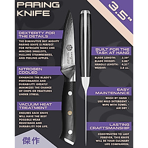 KESSAKU Paring Knife - 3.5 inch - Damascus Dynasty Series - Razor Sharp Kitchen Knife - Forged 67-Layer Japanese AUS-10V High Carbon Stainless Steel - G10 Garolite Handle with Blade Guard