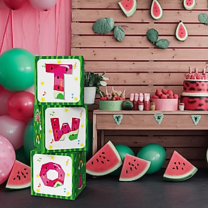Cartoon Melon 2nd Birthday Balloon Boxes Party Supplies Decorations, 3pcs Watermelon One In A Melon Theme Party Gift Boxes Blocks Decor with TWO Cake Smash Backdrop