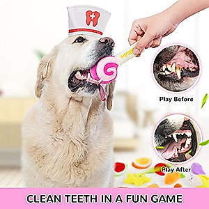 LEGEND SANDY 14 Pack Dog Squeaky Toys Cute Stuffed Plush Fruits Snacks and Vegetables Dog Toys for Puppy Small Medium Dog Pets