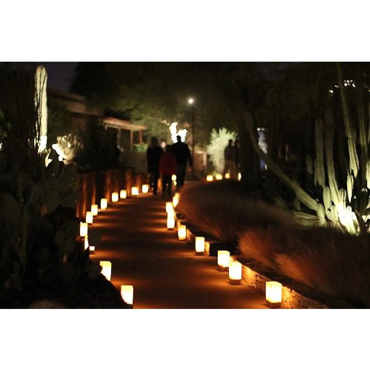Fortune Products LL-8A Luminary Light, 2 3/4" Length, 1 1/2" Width, 3/4" Height, 8 LEDs, Amber LEDs with Black Base