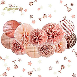 NICROLANDEE Rose Gold Party Decorations -12PCS Elegant Party Supplies Tissue Pom Poms Paper Lantern Glitter Confetti 30G for Wedding Bridal Shower Baby Shower Birthday Bachelorette Party Decorations