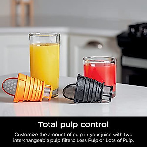 Ninja JC151 NeverClog Cold Press Juicer, Powerful Slow Juicer with Total Pulp Control, Charcoal