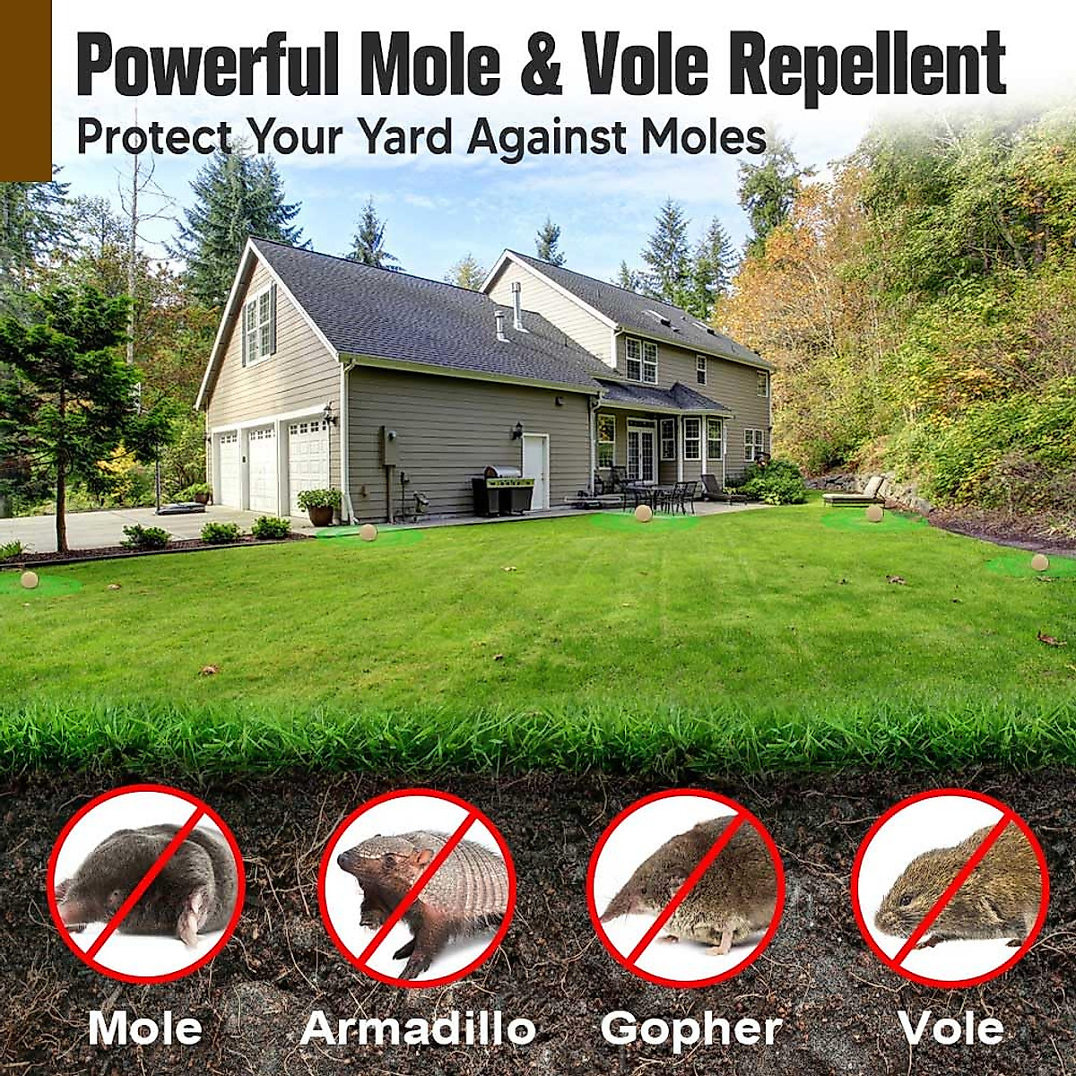 Dsdgkmk Mole Repellent for Lawns, Gopher Repellent, Mole & Vole Repellent, Mole Deterrent for Yard/Garden, Vole Repellent Outdoor,Mole and Gopher Repellent, Get Rid of Mole, Groundhog Repellent -8P