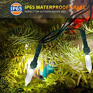 Tcamp Christmas Lights 33ft 100LED Outdoor Indoor Christmas String Lights with Remote Timer, USB or Battery Powered Waterproof 8 Modes Fairy Lights for Christmas Tree Wreath Party Decor (White)