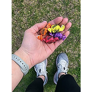 Quench Gum Tub, New Variety Fruit 300,300 Count (Pack of 1)