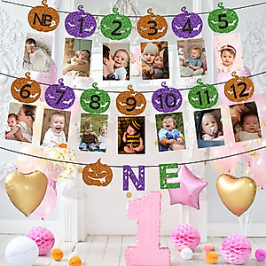 Halloween 1ST Birthday Party Decorations Pumpkin 12 Month Photo Banner for First Birthday Halloween First Birthday Decorations The Spooky One Birthday Decorations